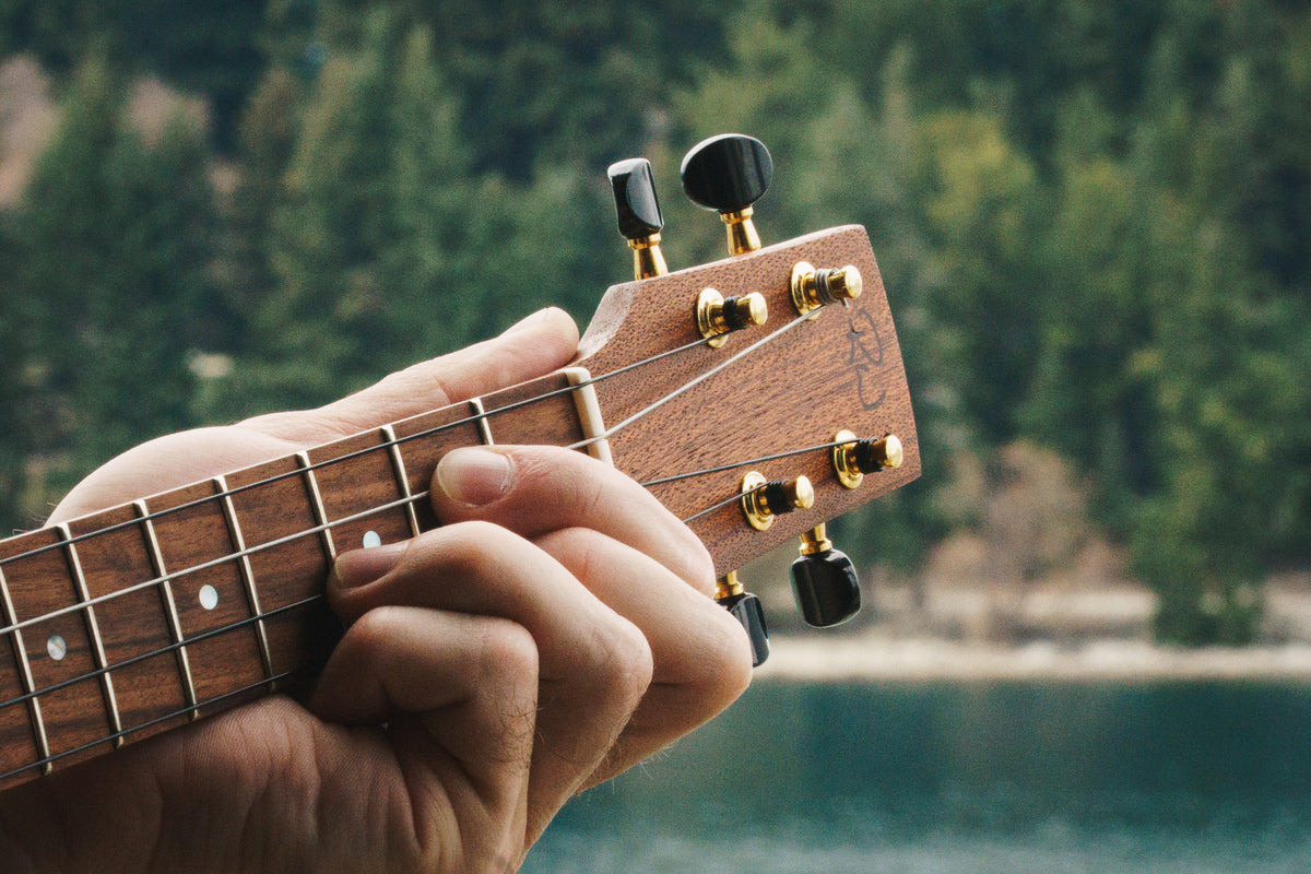 Understanding Action on a Ukulele: A Comprehensive Guide To Perfect Pl ...